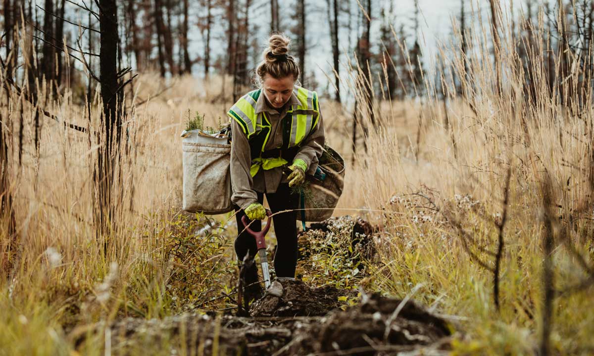 Connect corporate wellness and climate protection